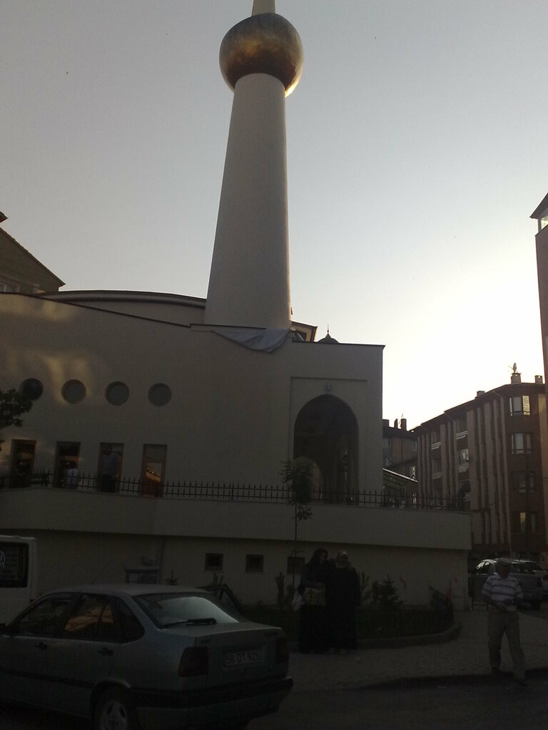 Cami Hatice Şaşmaz Cevher Cami, Sivas, foto