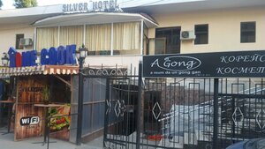 Silver Hotel (Niyazbek Yolu Sok. No:No:54), otel  Taşkent'ten