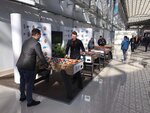 Desperado Sport (Tormoznoe Highway No:1литЮ), masa oyunları ve zeka geliştirici oyunlar  Yaroslavl'dan