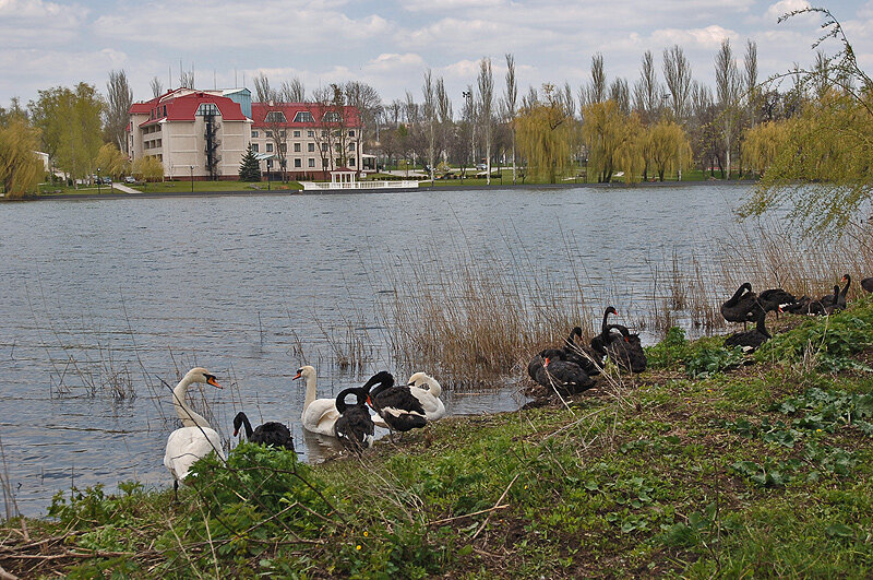 Stadyum Kirsha Training Centre, Donetsk, foto