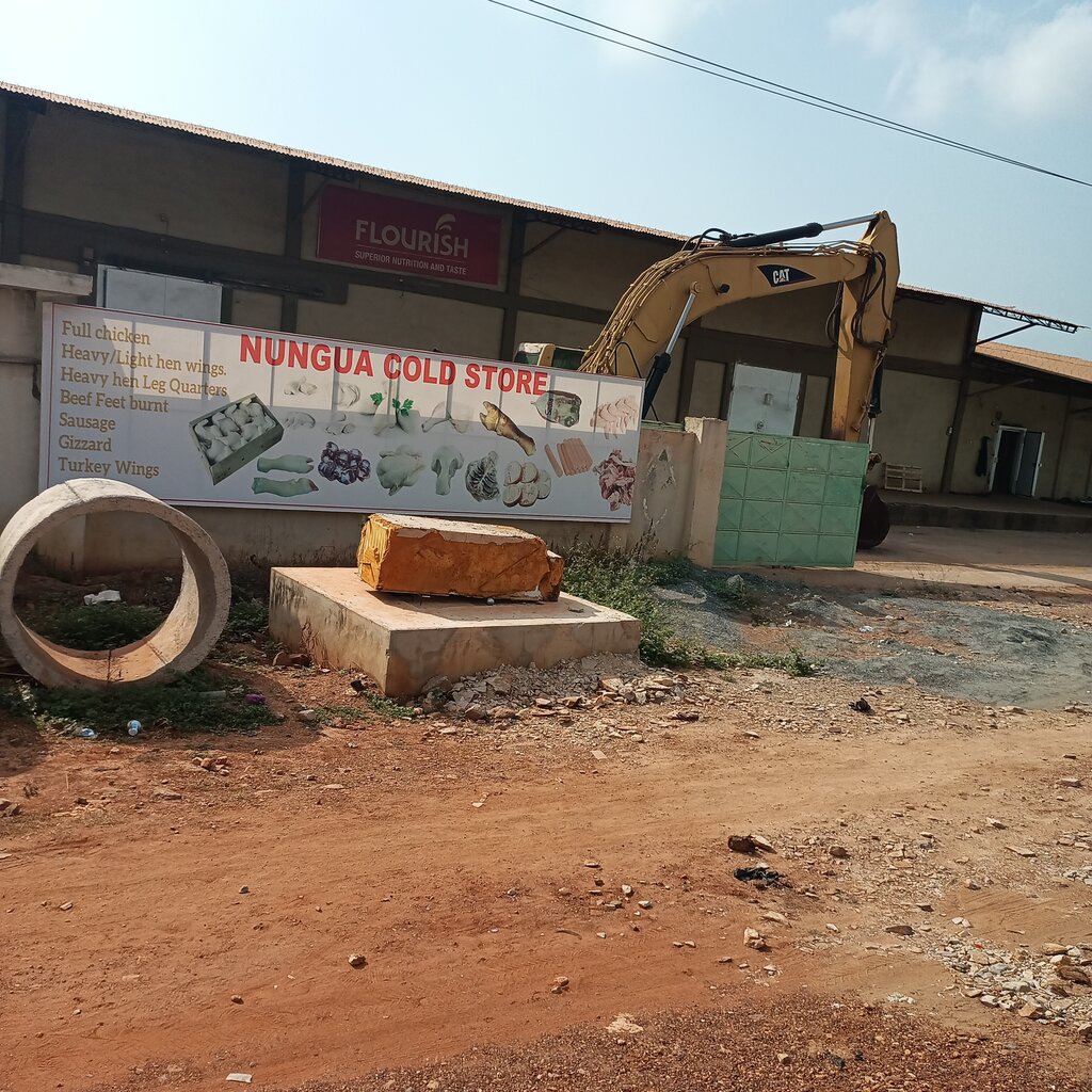 Dondurulmuş gıda firmaları Nungua Cold Store, Dünya, foto