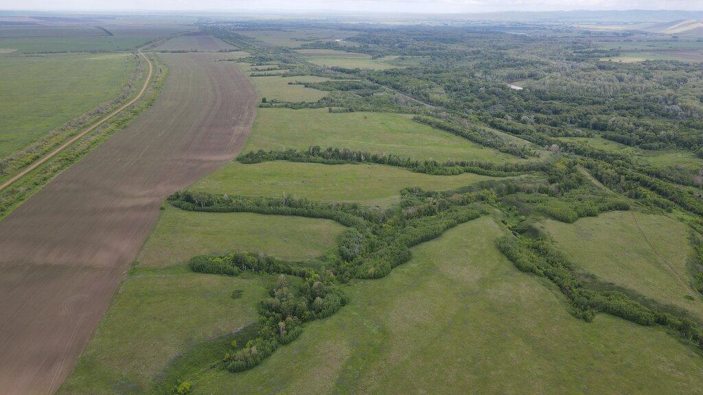 Doğa Кондуровские венцы, Orenburgskaya oblastı, foto