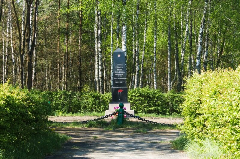 Anıt, heykel Советским патриотам, зверски замученным и расстрелянным фашистами в 1943 году, Brianskaya oblastı, foto