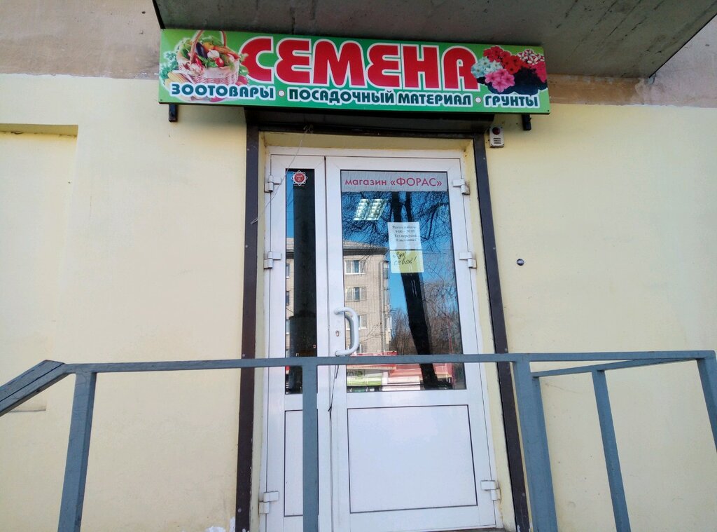 Tohum satan yerler Foras, Lipetsk, foto