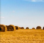 Zemědělské obchodní družstvo Litultovice (Moravskoslezský kraj, Opava, Litultovice), tarım ürünleri firmaları  Moravya‑Silezya Bölgesi'nden