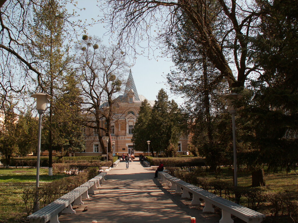 Kültür ve eğlence parkları Park Yushchenka, Vinica, foto