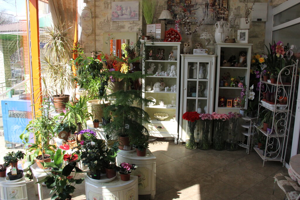 Çiçekçiler Vanda-flora, Moskova, foto