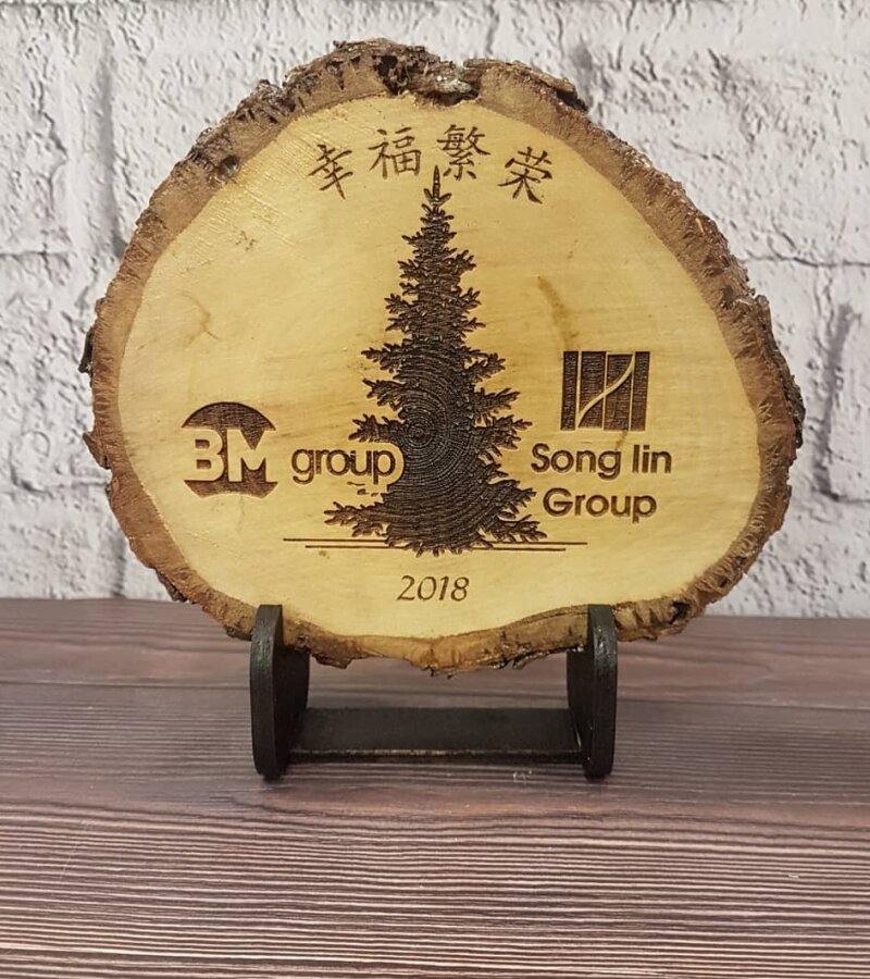 Lazer çalışmaları Арт-конструктор, Habarovsk, foto