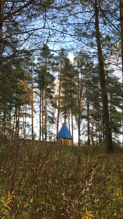 Şapel, haç anıtı Часовня святого Николая, Pskovskaya oblastı, foto