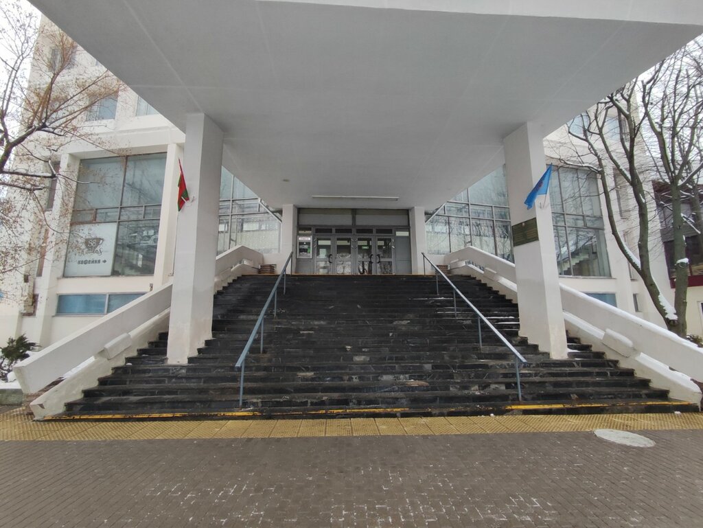 Müzik okulları ve konservatuarlar Panda, Minsk, foto