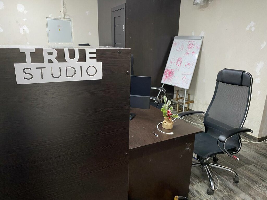 Web tasarım hizmetleri TrueShop, Orenburg, foto