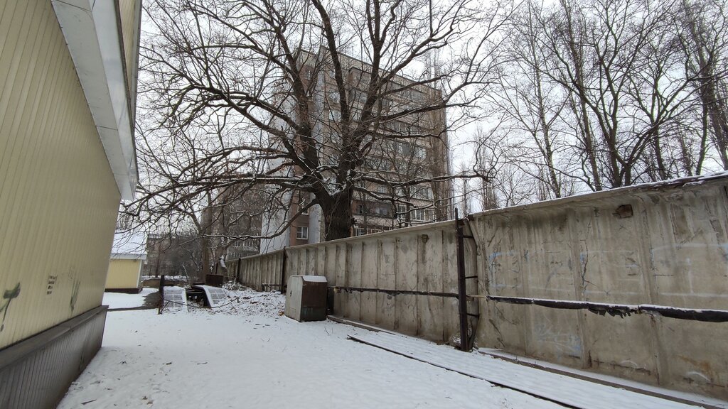 Doğa Охраняемый природный объект Дуб на улице Первомайской, Lipetsk, foto