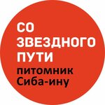 So zvezdnogo puti (Privokzalnaya ulitsa No:38А), evcil hayvan yetiştiricileri  Odintsovo'dan