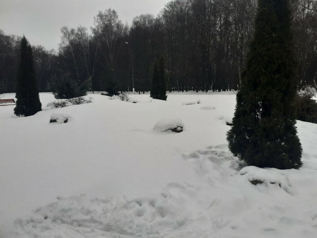 Doğa Сад камней, Tula, foto