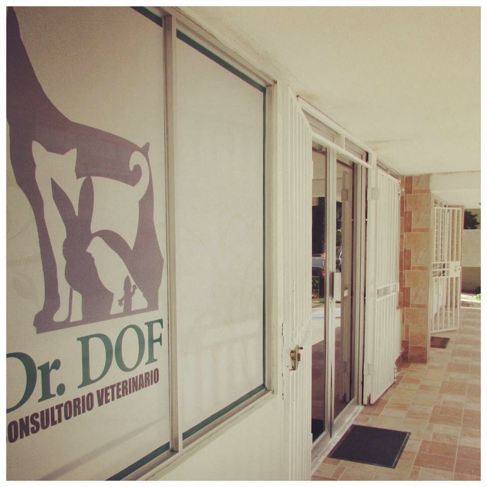 Veteriner klinikleri Consultorio Veterinario Dr. D. O. F, Panama, foto