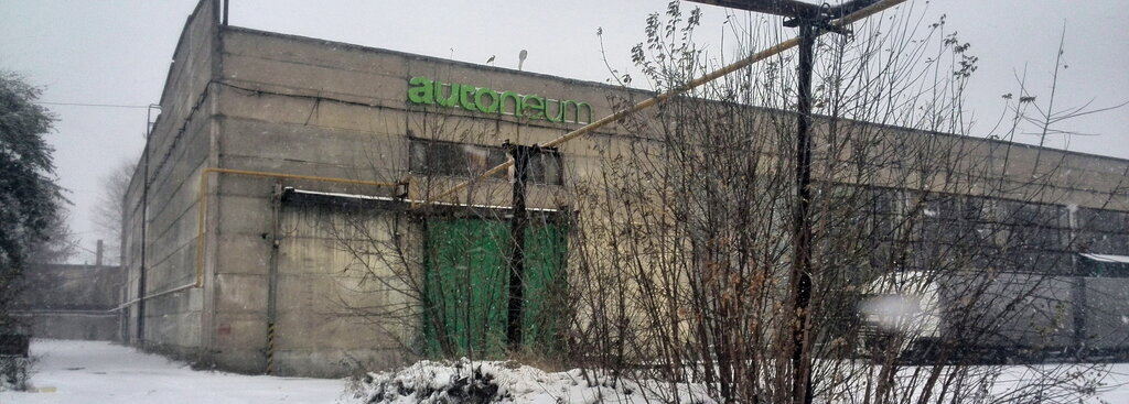 Otomobil parçaları imalatı Autoneum Rus, Riazan, foto