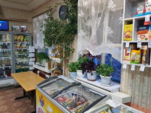 Market Camellia, Magadan Bölgesi, foto