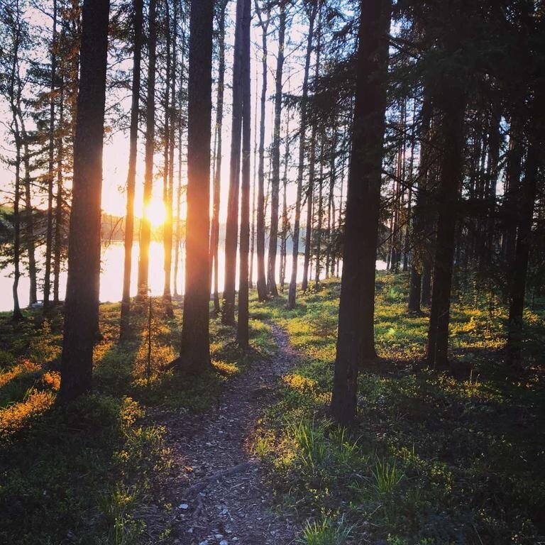 Konuk evi Comfort Lodge, Suoyarvi, foto