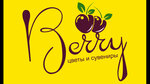 Cat House & Berry (Leningrad Region, Boksitogorskiy rayon, Pikalyovo, ulitsa Metallurgov), petshop  Pikalevo'dan