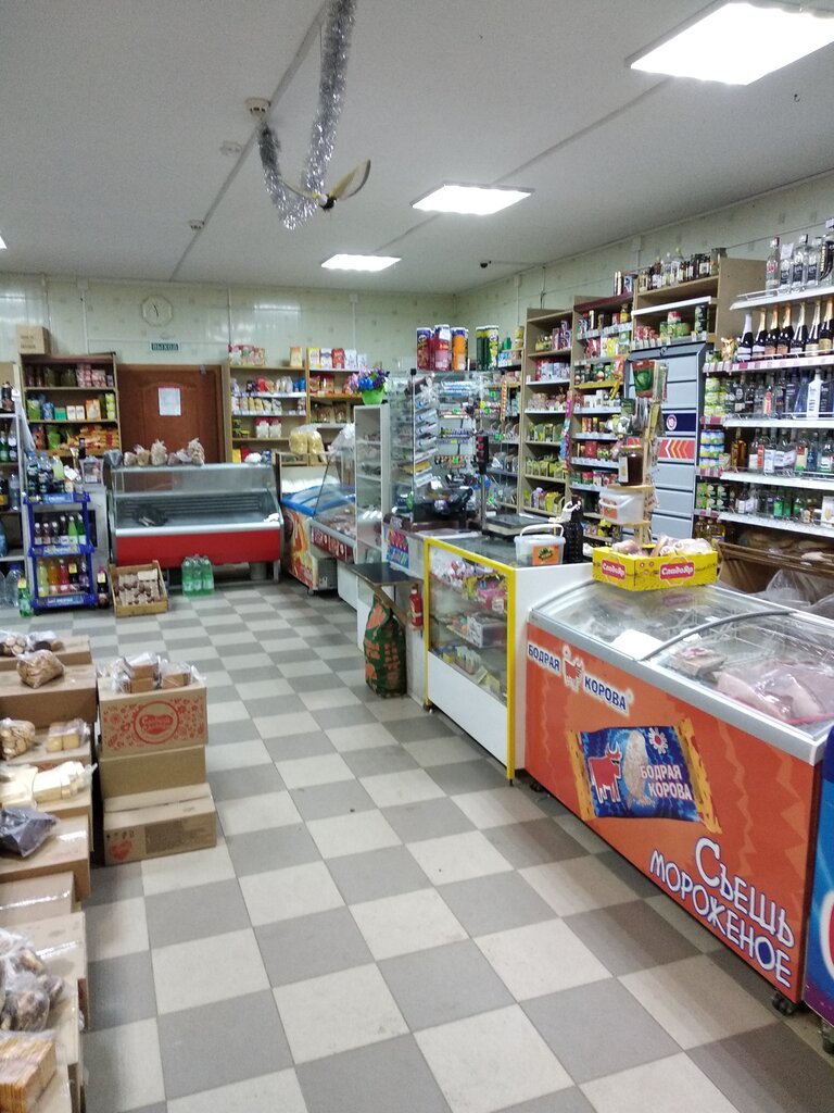 Market IP Salakhyan Grocery Store, Yaroslavskaya oblastı, foto