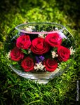 Flowers (ulitsa Bestuzheva No:1, Adler), çiçekçiler  Soçi'den