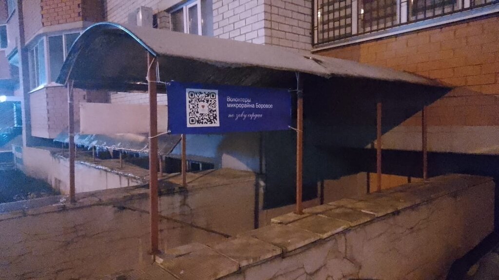 Yardım kuruluşları Добровольческое объединение волонтеров г. Воронеж, Voronej, foto