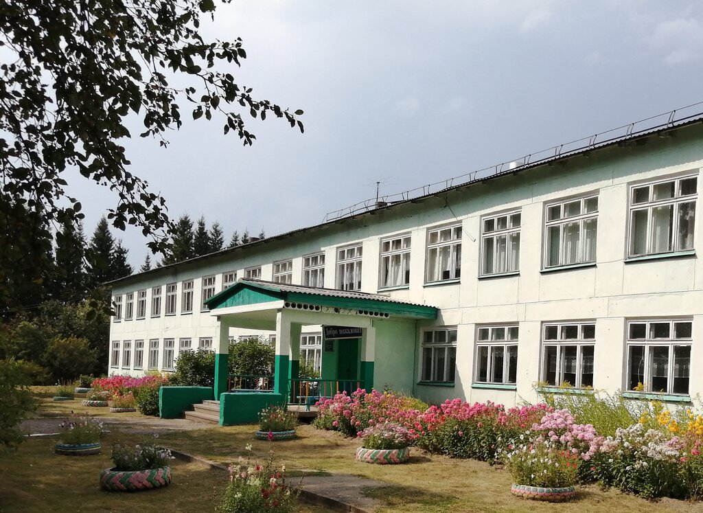 Ortaokul Егоровская средняя общеобразовательная школа, Omskaya oblastı, foto