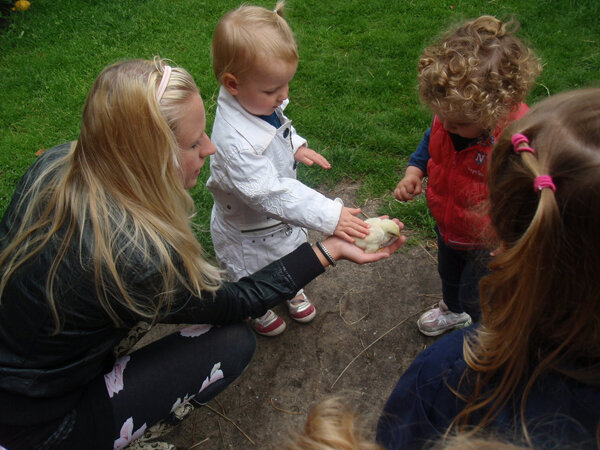 Anaokulları Kinderdagverblijf EN buitenschoolse opvang Boerderij De, Utrecht eyaleti, foto