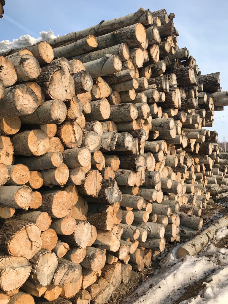 Kereste üretim ve satış şirketleri Argo-Les, Tiumen, foto