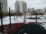 Sports ground (Verkhniye Polya Street No:2А), spor alanı  Moskova'dan