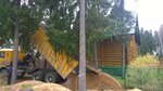 Triumf (Polyanskaya Street No:34), endüstriyel mineraller  Kostroma'dan