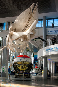 Museum Of The World Ocean, Main Building (Petra Velikogo Embankment No:1, Kaliningrad), müzeler ve sanat galerileri  Kaliningrad'dan