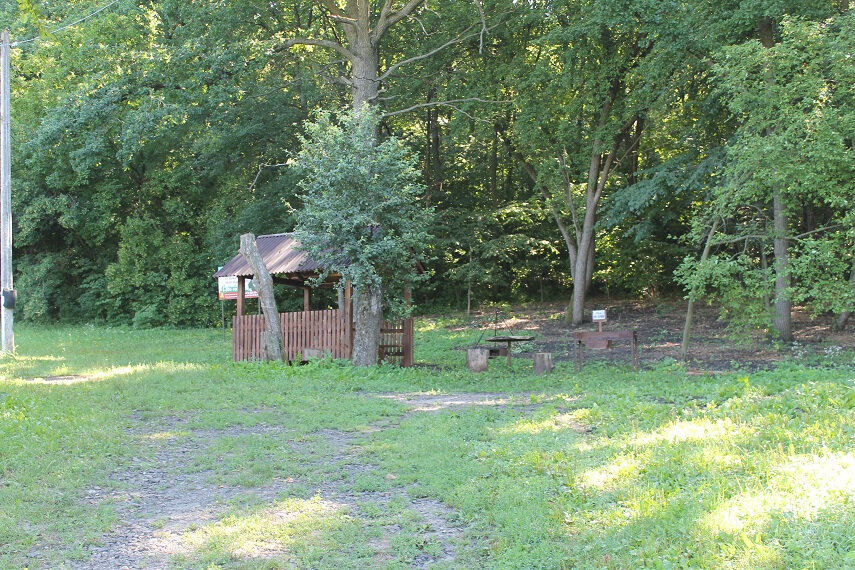 Ekmek fırını Усадьба хлеба с. Бобрава, Belgorodskaya oblastı, foto