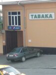 Tabaka (5-Guliston 6-berk koʻchasi No:20A), kantin, yemekhane  Nemengan'dan