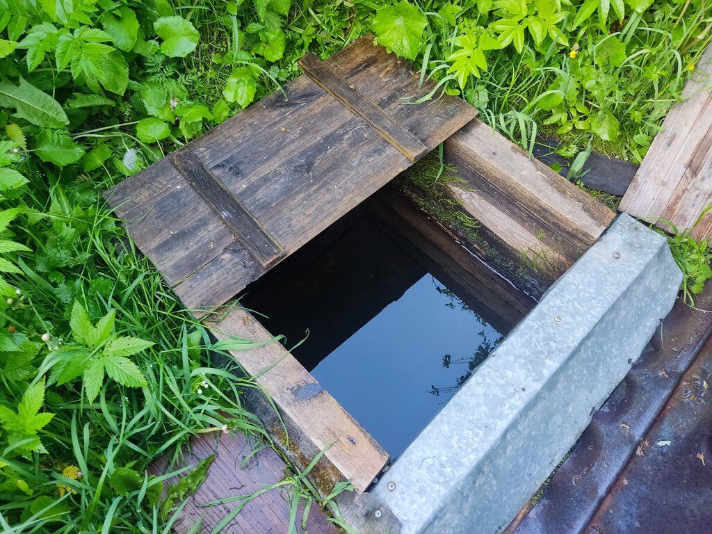 Pınar, çay Spring, stream, Nijegorodskaya oblastı, foto