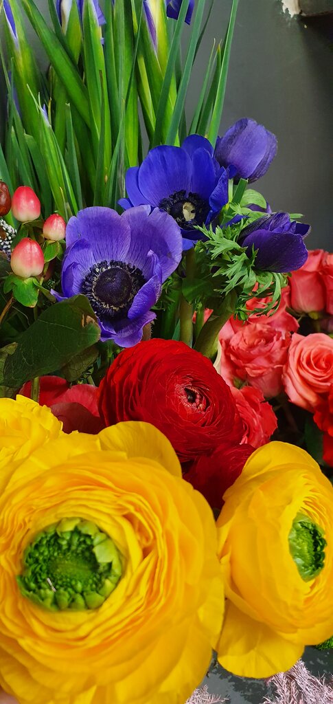 Çiçekçiler Galereya tsvetov, Uhta, foto