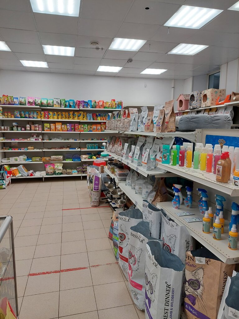 Petshop Кошки-мышки, Vologda, foto