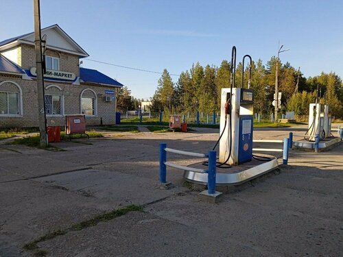 Benzin istasyonu Энтиком-Инвест, Belozersk, foto