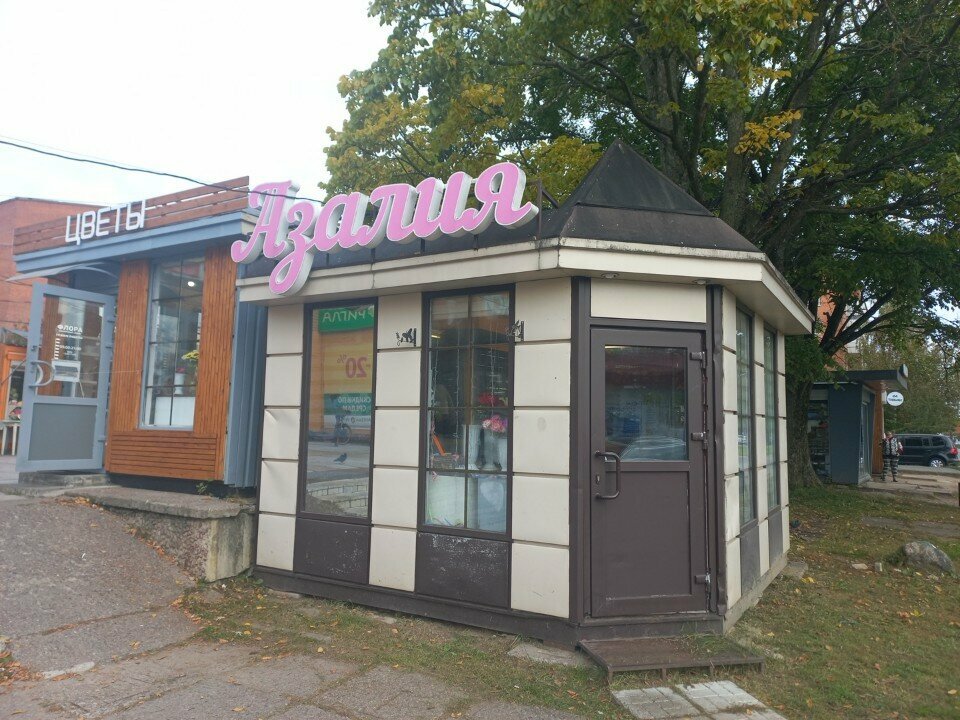 Çiçekçiler Азалия, Sosnoviy Bor, foto