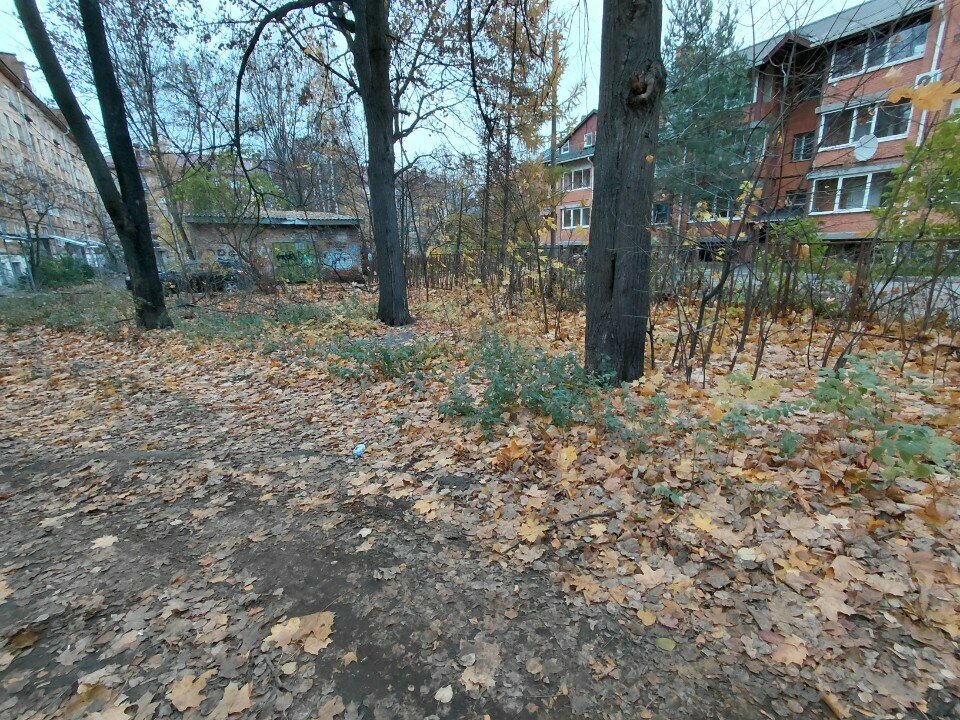 Kültür ve eğlence parkları Малый Ригачный сквер, Petrozavodsk, foto