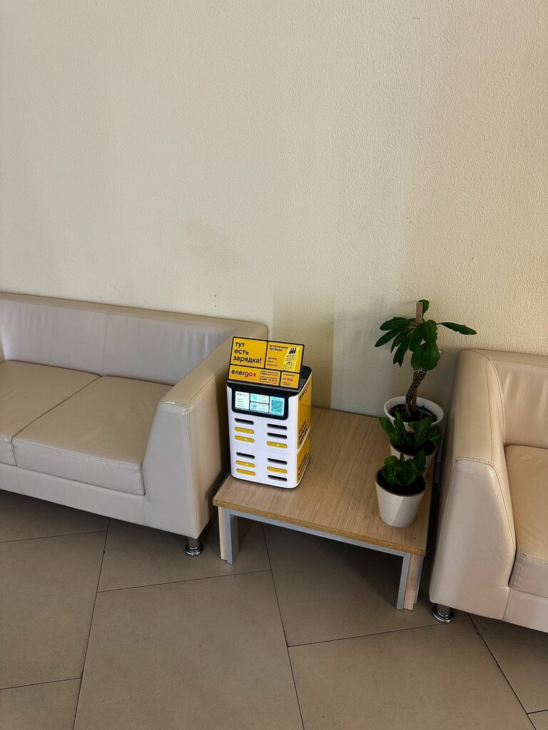 Şarj cihazı kiralama Energo, Moskova, foto