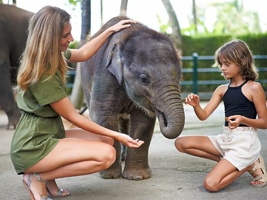 Otel Mason Elephant Lodge, Bali, foto