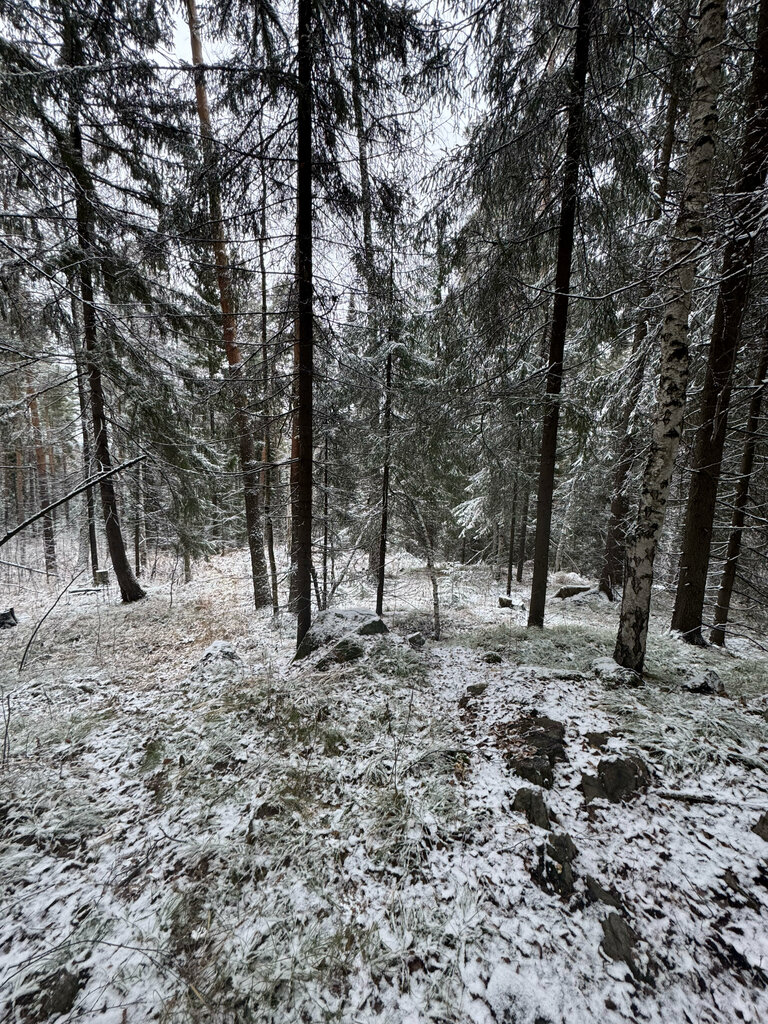 Dağ zirvesi Гора Одинокая, Sverdlovskaya oblastı, foto