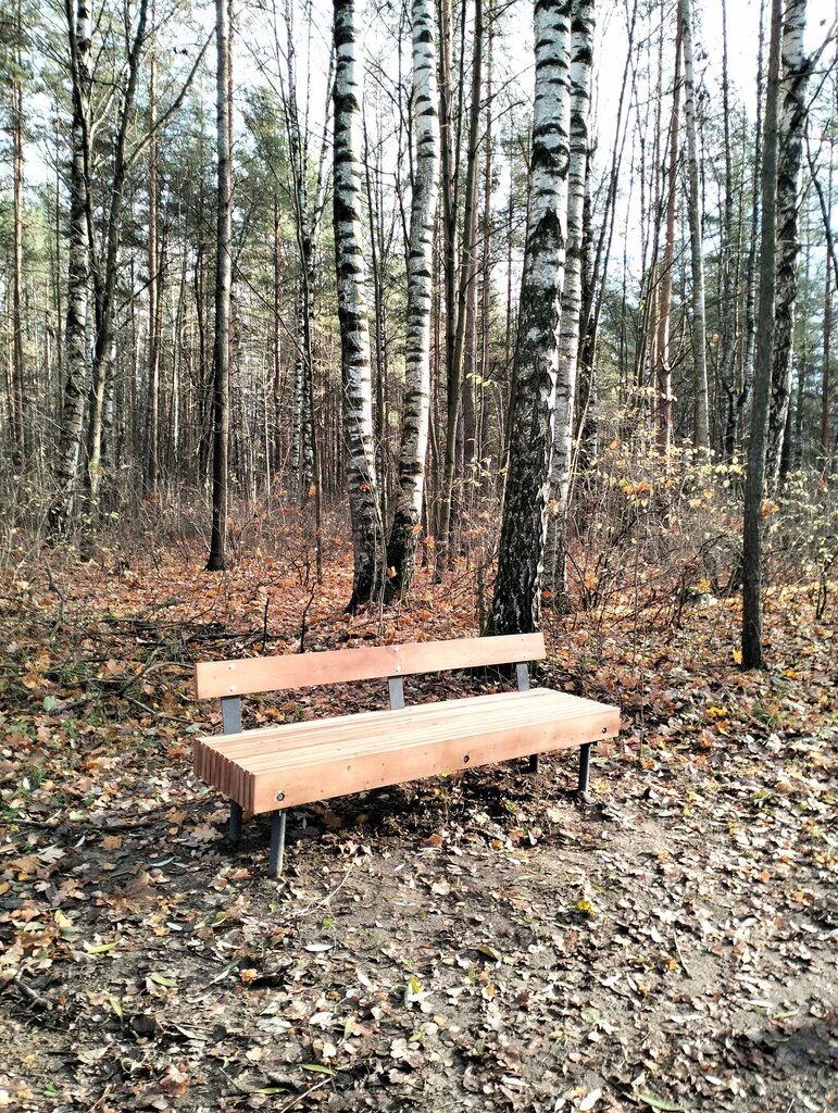 Doğa Экотропа Новоорловский заказник, Saint‑Petersburg, foto