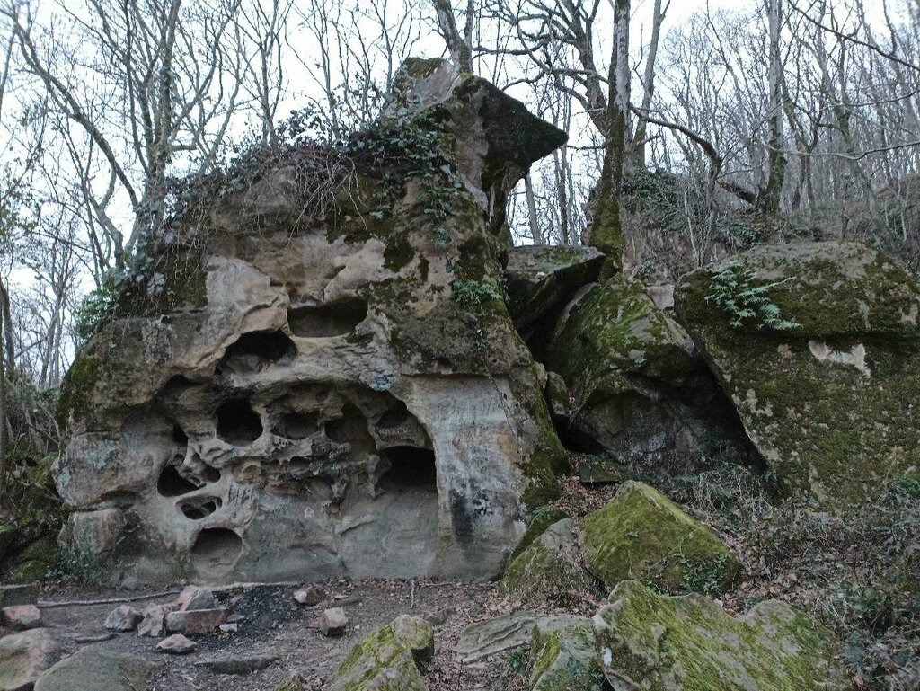 Kültür ve eğlence parkları Бытхинский лесопарк, Soçi, foto