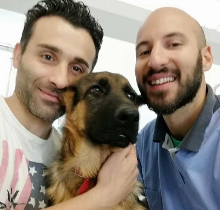 Veteriner klinikleri Trevisan Dr. Carlo, Abruzzo, foto