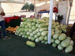 Kirvem Kavun Karpuz Sergisi (Şanlıurfa, Mehmet Hafız Blv.), diyet ve diyabetik ürünler  Karaköprü'den