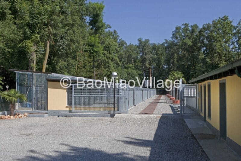 Evcil hayvan yetiştiricileri Bao Miao Village, Lombardiya, foto