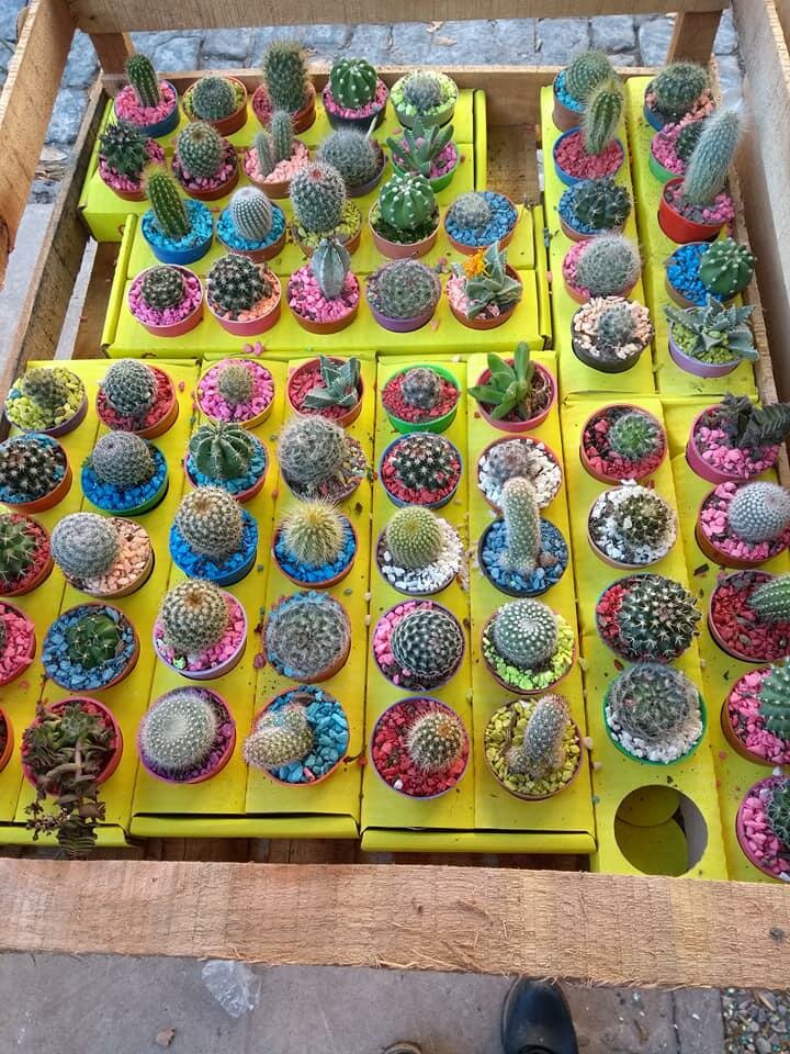 Çiçek teslimatı Floreria La Nueva Rasil, , foto