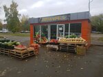 Ярмарка (Udmurtian Republic, Izhevsk, Pisatelya Samsonova Street), manavlar  Izhevsk'ten